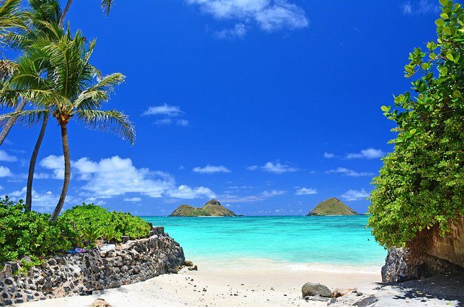 Private Driving Tour of Oahu Scenic South Shore - What Travelers Are Saying