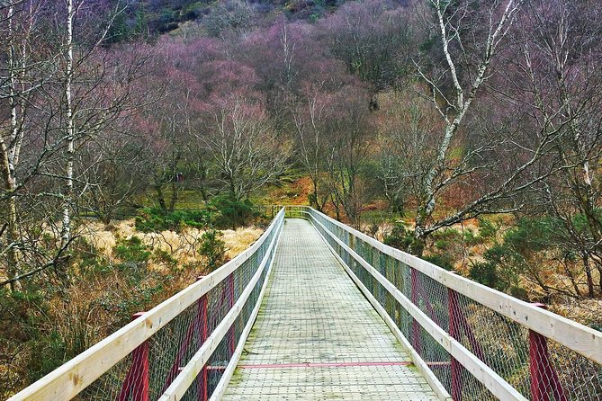 Private Dublin Tour for Families with a Local, 100% Personalized - The Sum Up