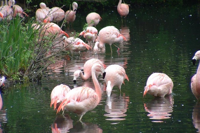 Private Dublin Tour for Families with a Local, 100% Personalized - FAQs