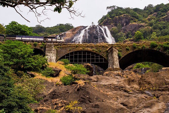 Private Dudhsagar waterfalls & Spice Plantation with Lunch from Mormugao Port - Final Thoughts: Is This Tour Worth Your Time?