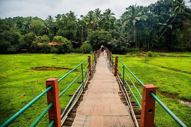 Private Dudhsagar waterfalls & Spice Plantation with Lunch from Mormugao Port - Final Words