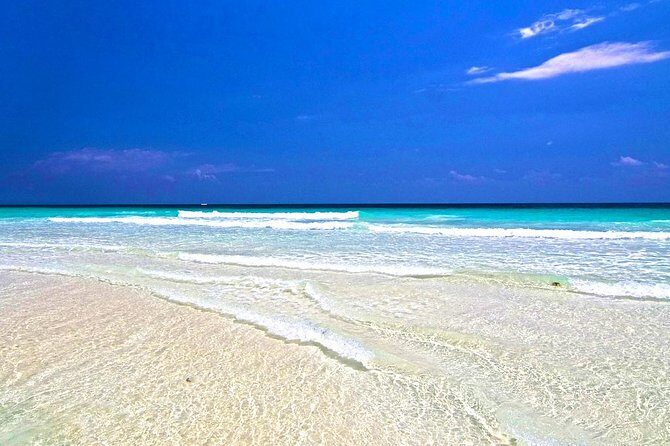 Private Dune Buggy & Snorkel Tour: All-Inclusive - The Tour Experience: What to Expect