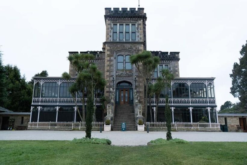 Private Dunedin City Highlights and Otago Peninsula Day Tour - Review Insights from Past Travelers