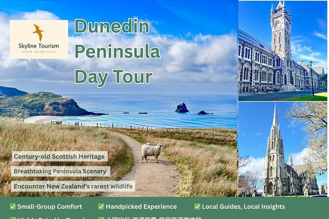 Private Dunedin & Otago Peninsula Day Tour Up to 4 - An In-Depth Look at the Dunedin & Otago Peninsula Private Tour