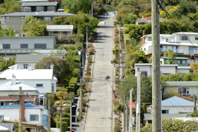 Private Dunedin & Otago Peninsula Day Tour Up to 4 - FAQs