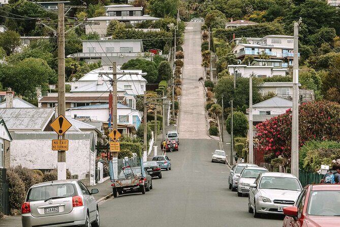 Private Dunedin & Otago Peninsula Day Tour Up to 4 - Final Thoughts