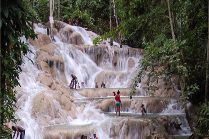 Private Dunn River Falls and Park Tour from Montego Bay - Transportation and Logistics