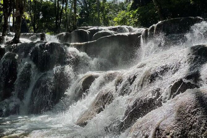 Private Dunn River Falls and Park Tour from Montego Bay - What’s Included and What’s Not