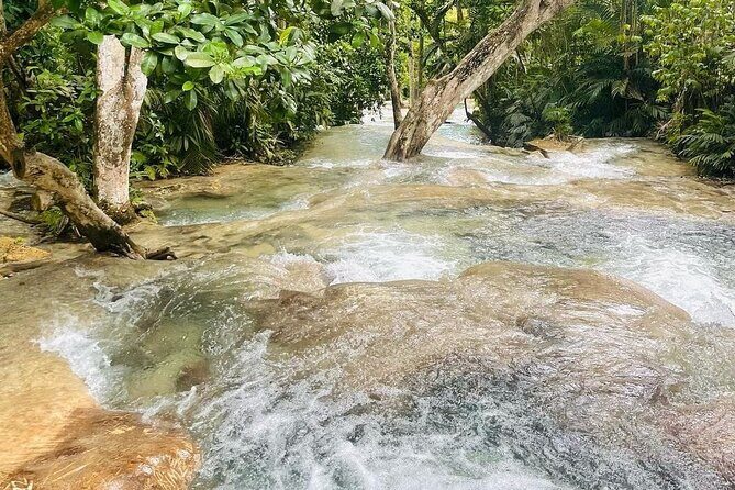 Private Dunn River Falls and Park Tour from Montego Bay - Authenticity and Family-Friendliness