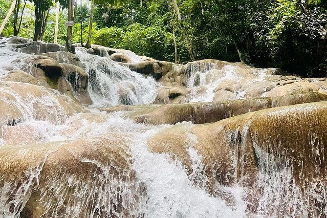 Private Dunn River Falls and Park Tour from Montego Bay - Analyzing the Value