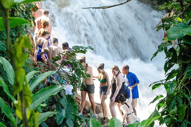 Private Dunn River Falls Tour From Negril - Key Points