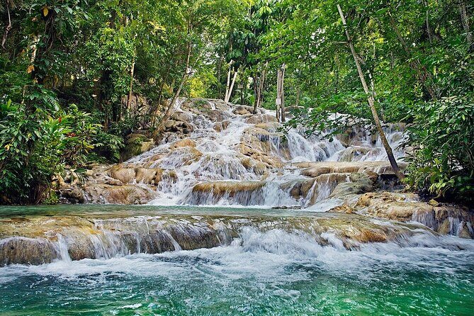 Private Dunn River Falls Tour From Negril - Cost Breakdown and Value