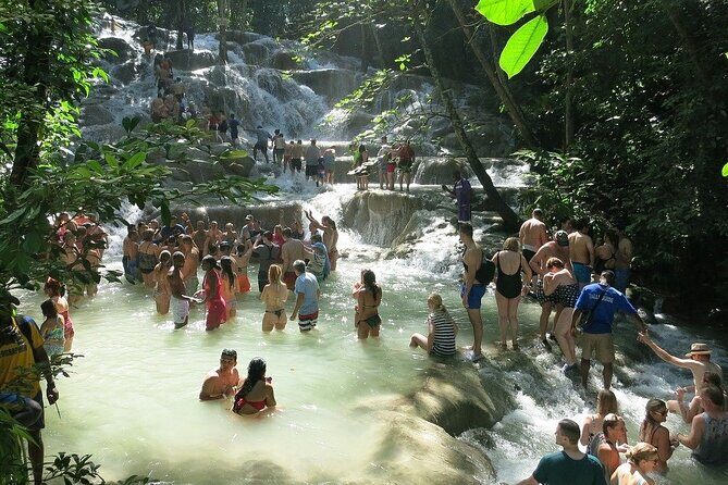 Private Dunn River Falls Tour From Negril - What Travelers Can Expect