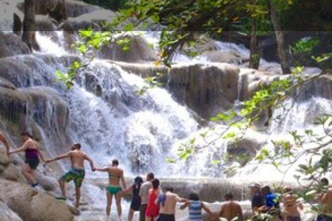 Private Dunn's River and Blue hole tour from Ocho Rios - The Itinerary in Detail