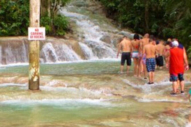 Private Dunn's River and Blue hole tour from Ocho Rios - The Sum Up