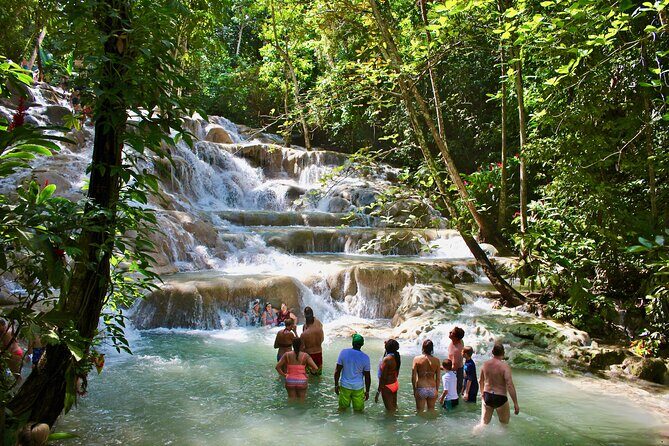 Private Dunn's River Falls Adventure from Montego Bay - Introduction