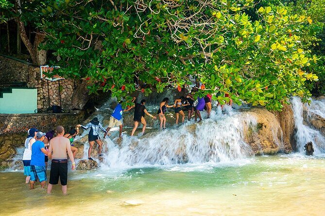 Private Dunn's River Falls Adventure from Montego Bay - Key Points