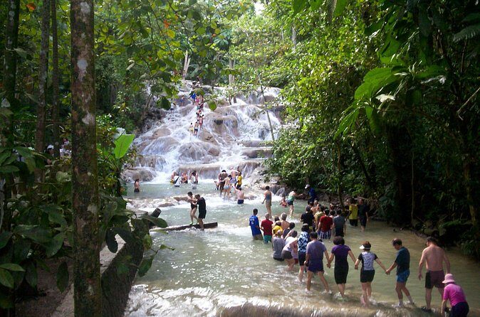 Private Dunn's River Falls Adventure from Montego Bay - The Sum Up