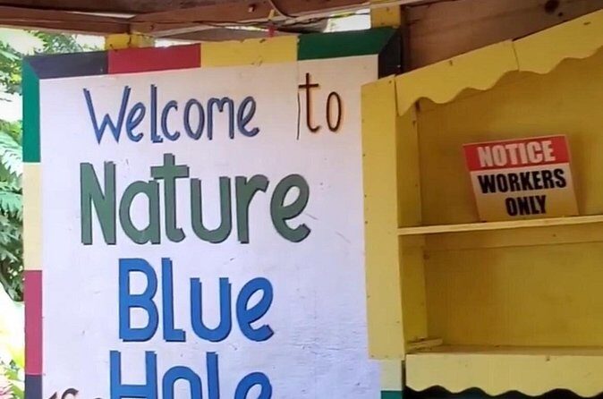 Private Dunns River Falls and Blue Hole from Montego Bay Tour - Final Thoughts