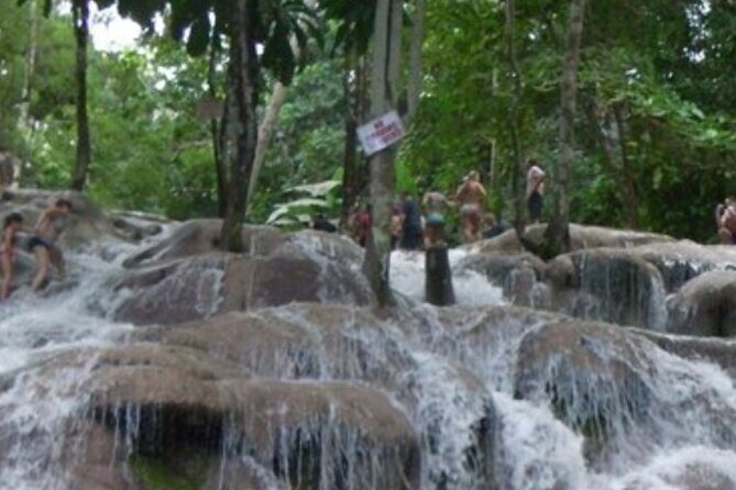 Private Dunn's River Falls and Tubing Tour From Ocho Rios - A Closer Look at the Tour Itinerary
