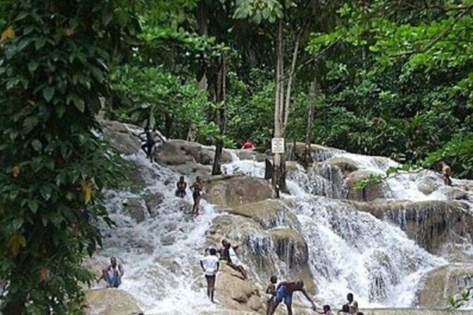 Private Dunn's River Falls and Tubing Tour From Ocho Rios - Practical Details and Tips