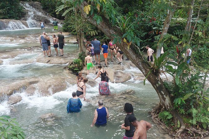 Private Dunn's River Falls Tour from Falmouth - Additional Activities and What’s Not Included