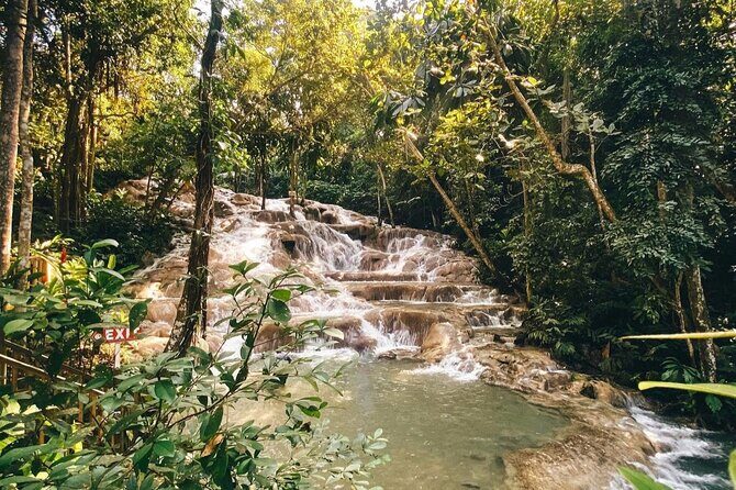Private Dunns River Tour from Falmouth Cruise Ship Pier - What Travelers Say
