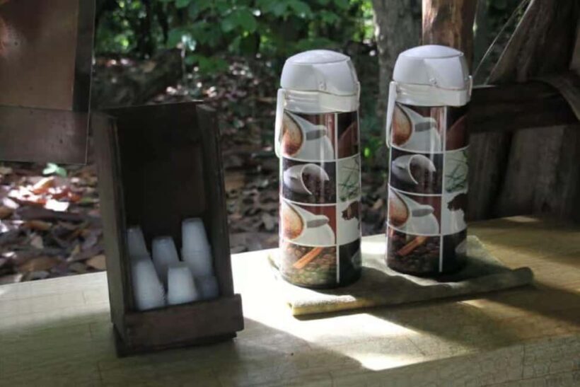 Private E-Bike Adventure Macao, El Salado, Ceiba & El Caño - Key Points