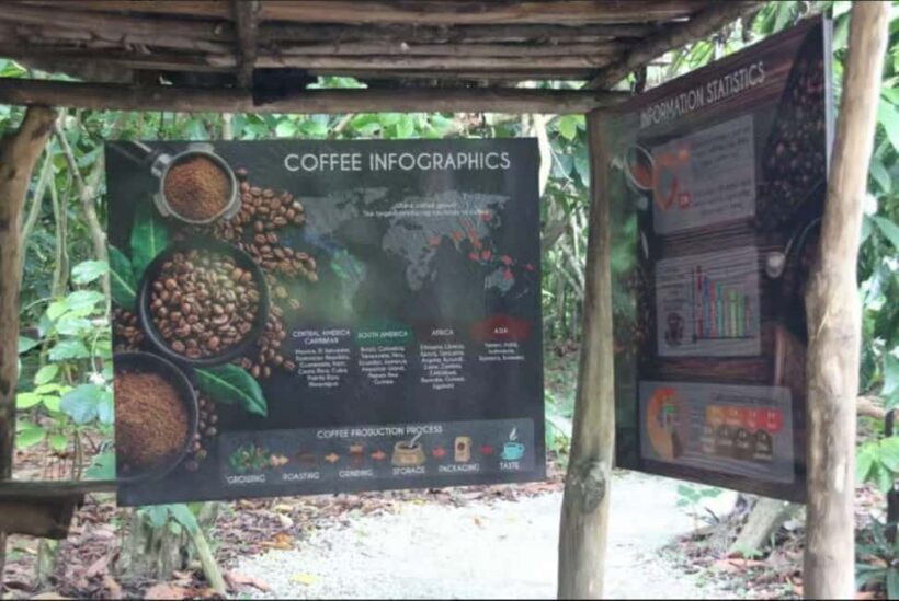 Private E-Bike Adventure Macao, El Salado, Ceiba & El Caño - The Practical Details and Value