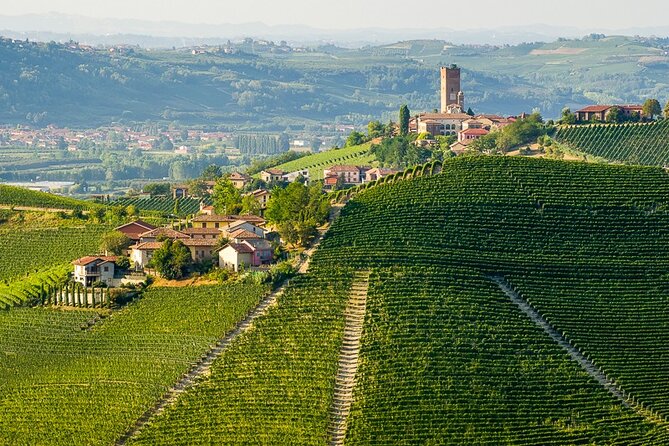 Private E-bike Tour " Langhe del Barbaresco " - Asphalt only - Introducing the Private E-bike Tour "Langhe del Barbaresco" — Asphalt Only