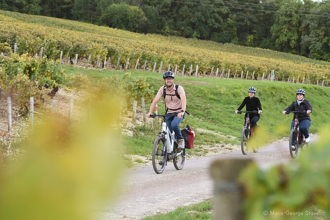 Private E-Bike Tour With a Guide in the Vineyards of Chablis - Participant Information
