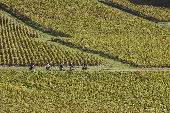 Private E-Bike Tour With a Guide in the Vineyards of Chablis - Reviews and Feedback