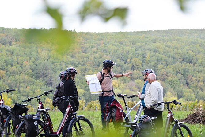 Private E-Bike Tour With a Guide in the Vineyards of Chablis - Exploring the Chablis Vineyards