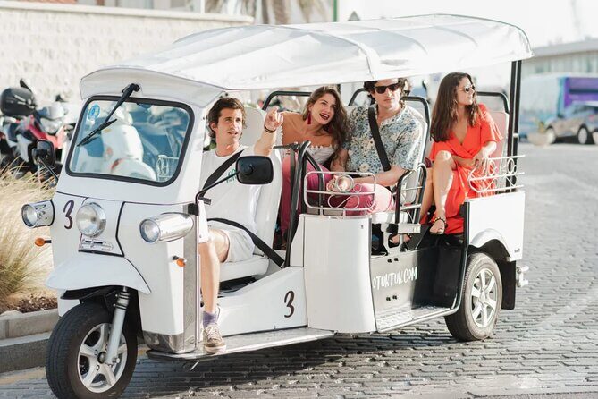 Private E-Tuk Tuk Adventure through Brisbane - Who Should Book This Tour?