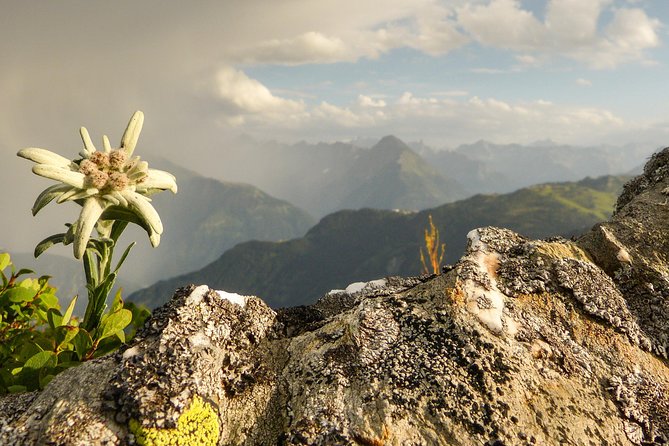 Private Eagles Nest & the Hills Are Alive - Frequently Asked Questions