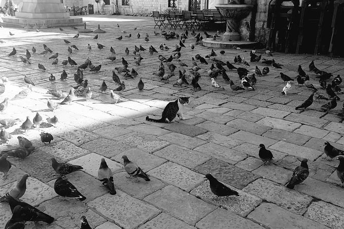 Private Early Morning Dubrovnik Tour - Final Thoughts