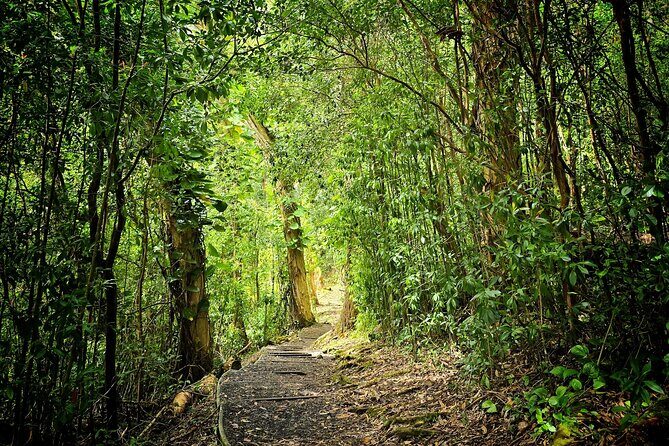 Private East Maui Hiking Experience - Key Points