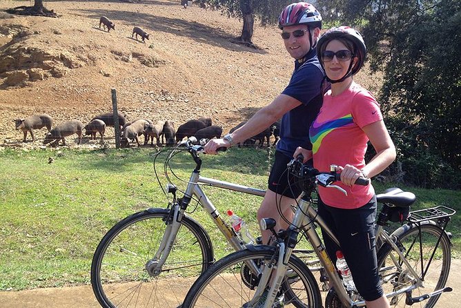 Private Ebike full day excursion to Sierra Norte Natural Park - Key Points