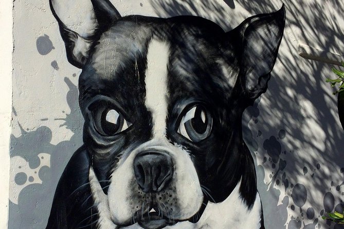 Private EBike Tour of Santa Monica and Venice Beaches - Safety Measures and Precautions