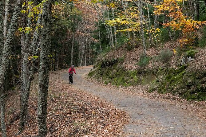 Private Ebike Tour Through Serra Da Estrela - Ebike Rental and Inclusions