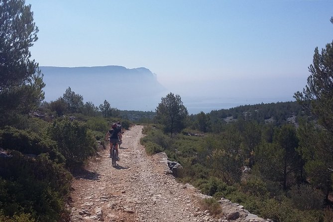 Private ebike tour to Calanques or city - A Deep Dive into the Tour Experience