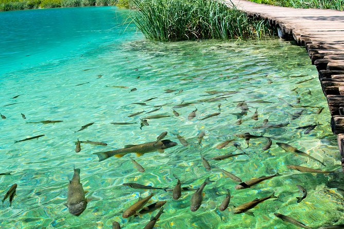 Private Eclectic Experience of Rastoke and Plitvice Lakes National Park - Pickup and Timing