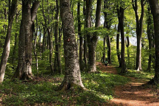 Private eclectic hiking experience of Samobor Hills - Practical Details and Value