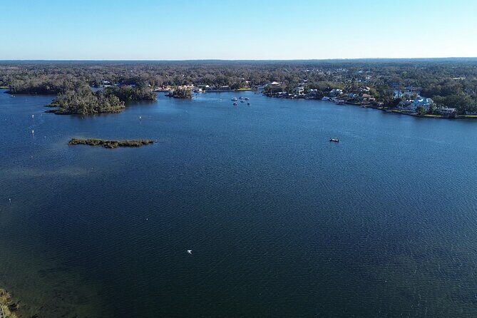Private Eco Tour in Kings Bay Crystal River Florida - The Value of the Experience
