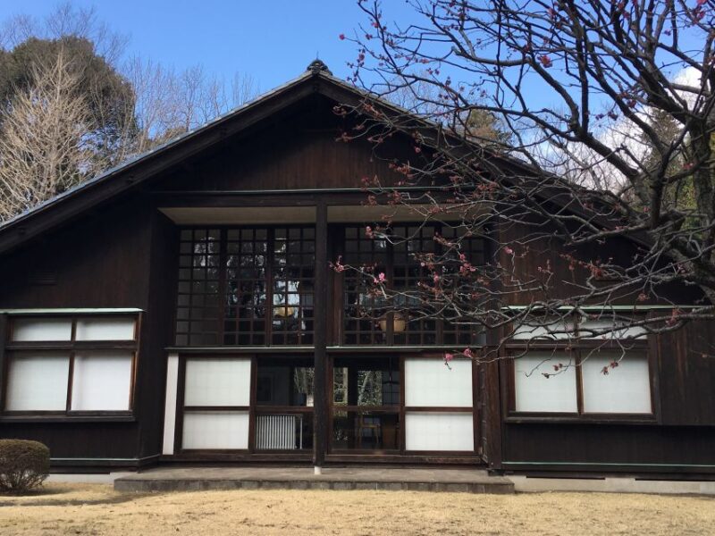 Private Edo-Tokyo Open Air Architectural Museum Tour - Experience Highlights