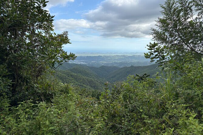 Private El Yunque Adventure  Hidden Waterfalls & El Toro Trail! - Key Points