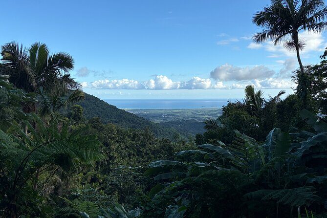 Private El Yunque Adventure  Hidden Waterfalls & El Toro Trail! - Itinerary Breakdown: What You Can Expect