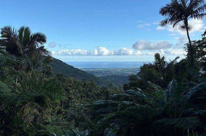 Private El Yunque Adventure  Hidden Waterfalls & El Toro Trail! - Practical Tips: Making the Most of Your Tour