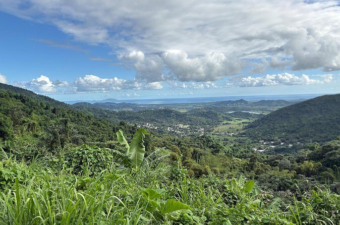 Private El Yunque Adventure  Hidden Waterfalls & El Toro Trail! - Final Thoughts: Who Will Love This Tour?