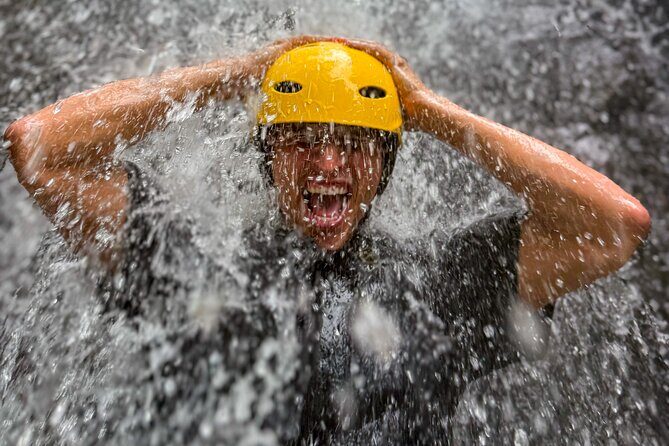 Private El Yunque Half-Day Tour with Transport - Discovering El Yunque: A Private Half-Day Tour with Transport
